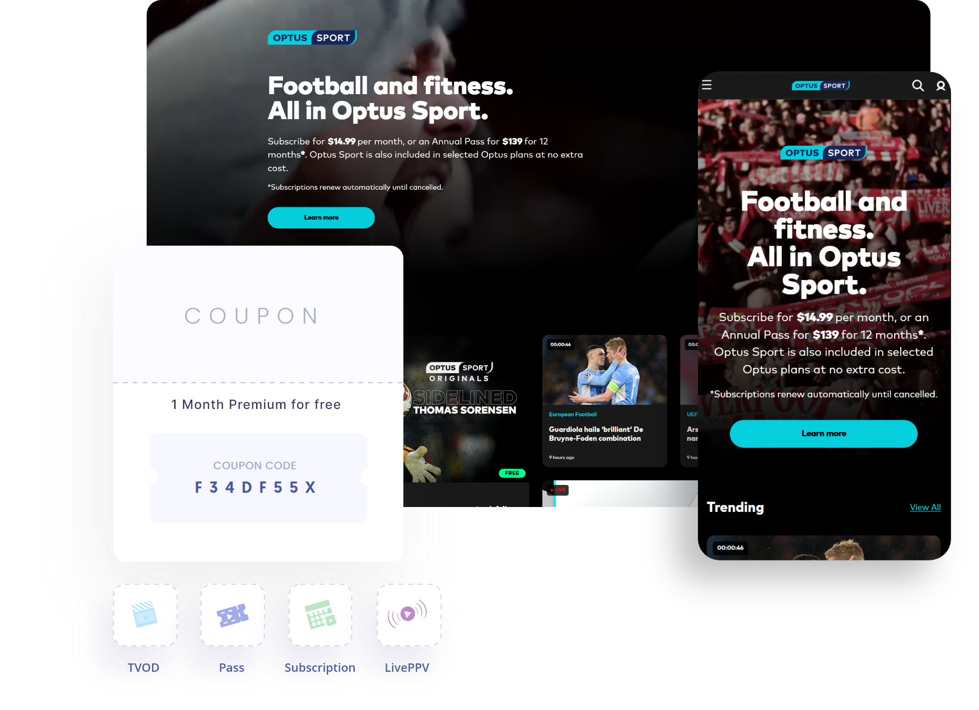 Cleeng: Subscriber Retention Management for OTT services